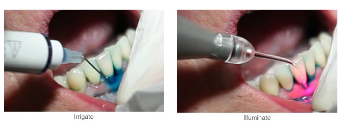 Clinique Dentaire Elena Rozenberg, Inc.